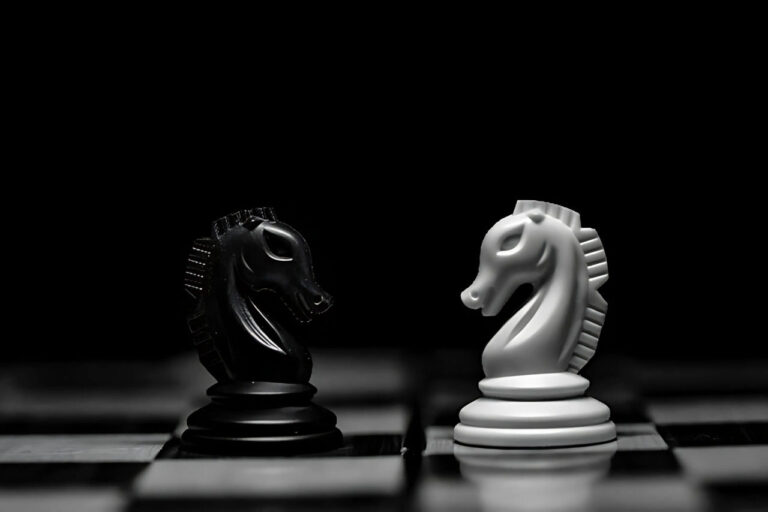 What is a concise statement in Federal Court litigation?