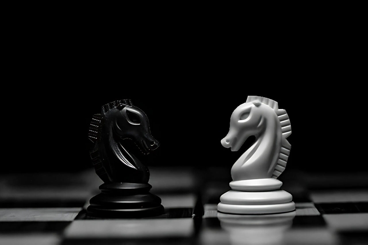 What is a concise statement in Federal Court litigation?